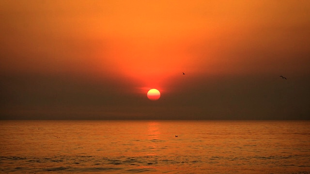 What Is White Balance In Photography? | Photographywith.com