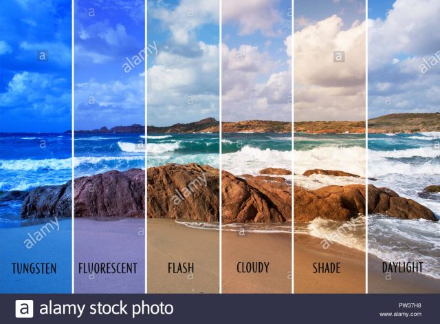 How Is Maths Used In Photography? Secret Revealed*