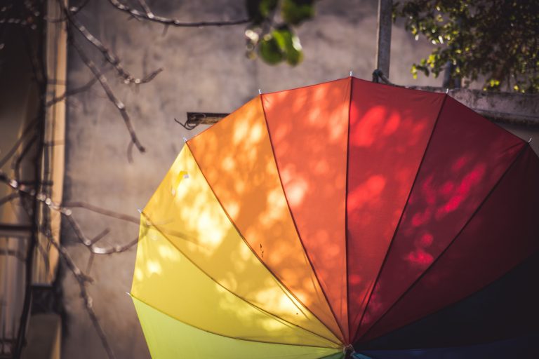 What Is Packshot Photography? 10 Key Tips to Master it With Examples