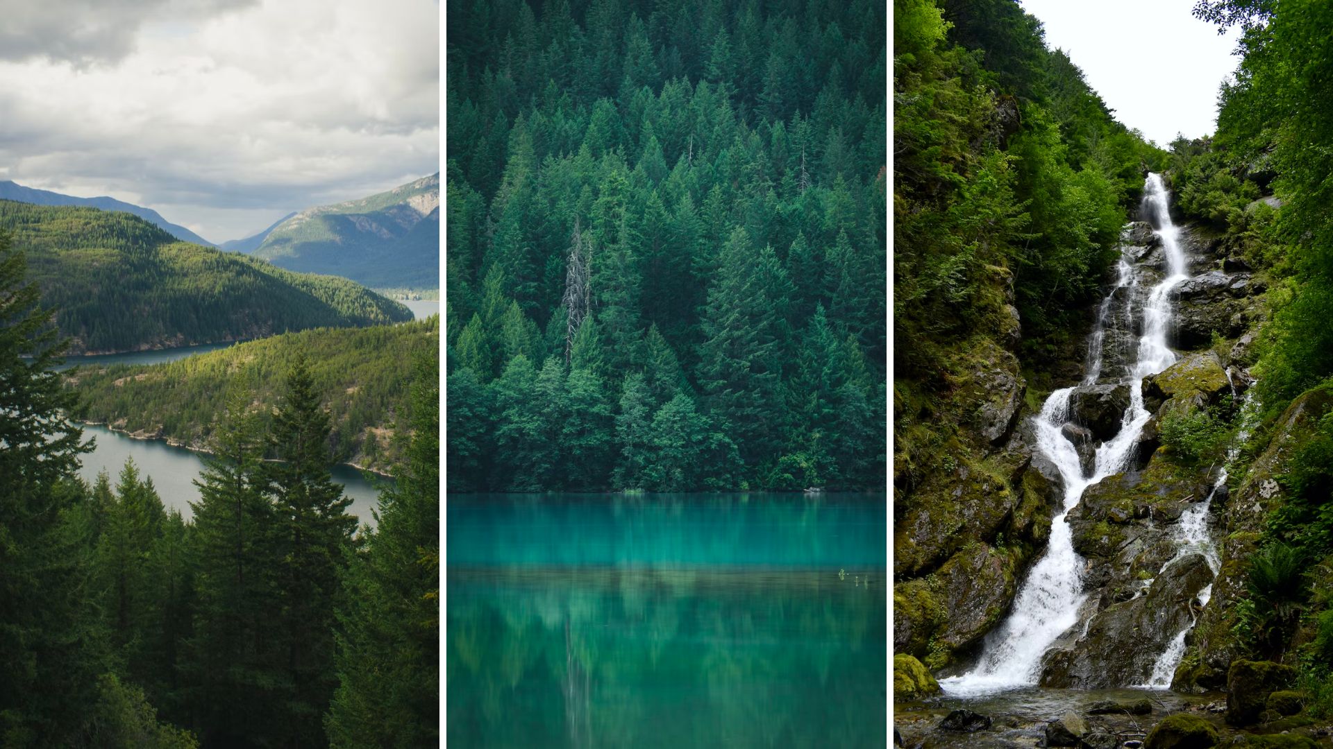 Beginner's Guide To Learn Point Of Focus In Photography